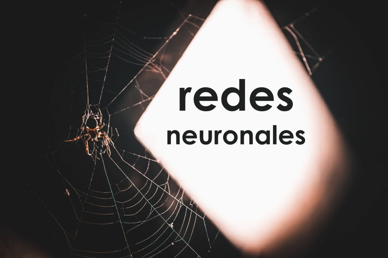 Funcionamiento redes neuronales - Conecta Magazine