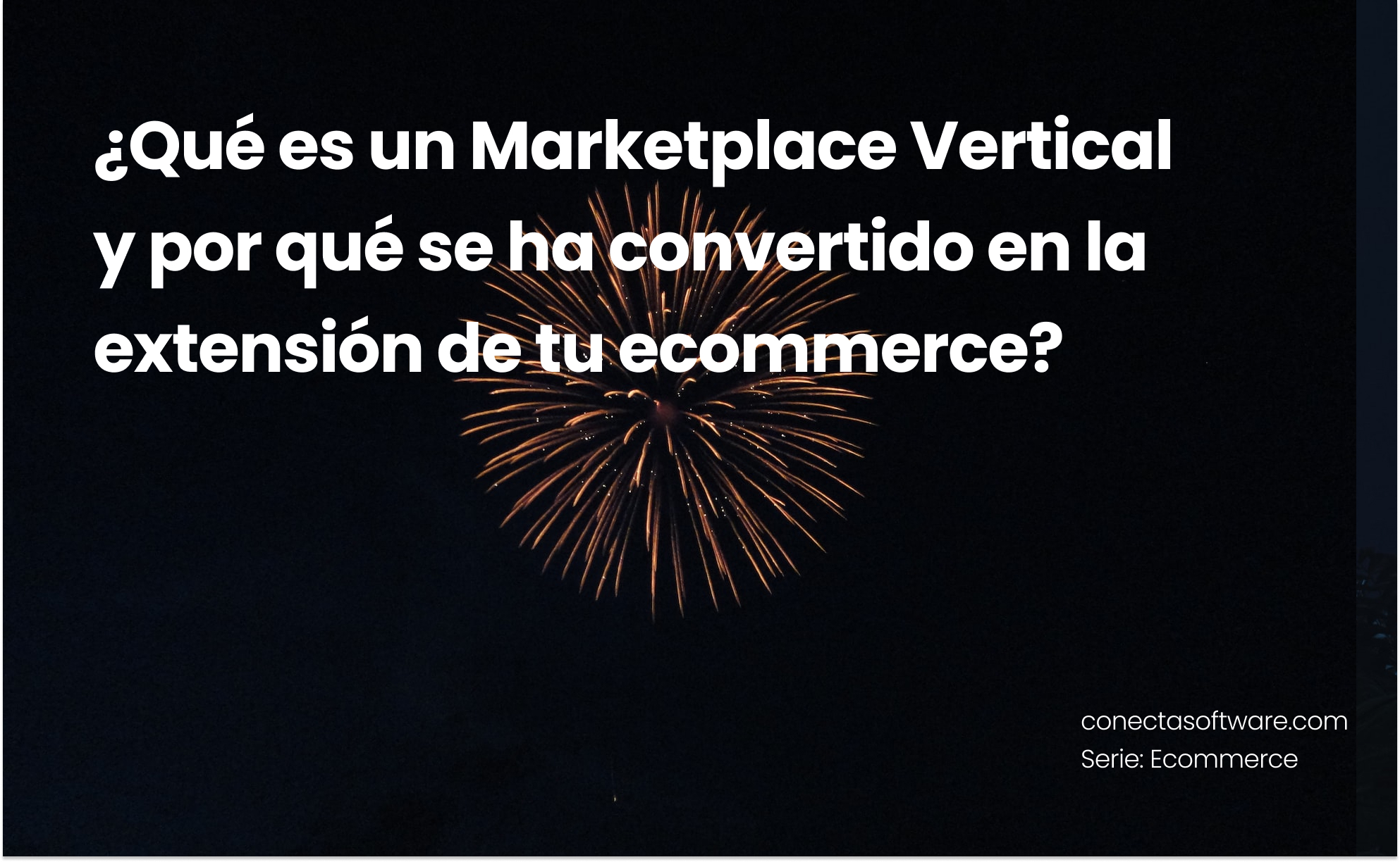 ¿Qué es un Marketplace Vertical y por qué se ha convertido en la ...
