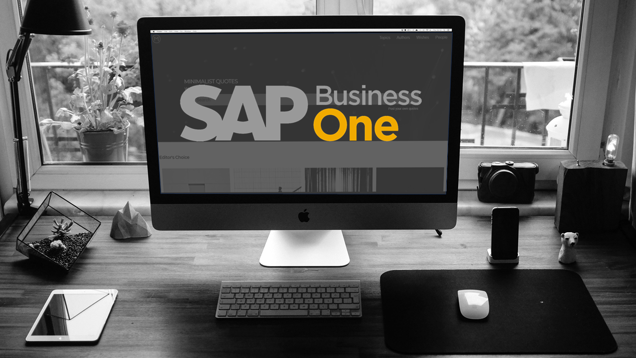 SAP Business One, una introducción a los módulos principales - Conecta Magazine